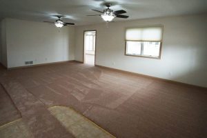 Reagan Model - Snyder Village